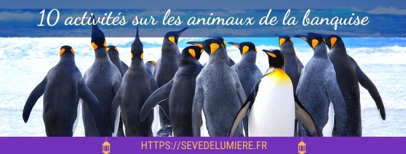 Les animaux de la banquise 10 activités à découvrir en maternelle